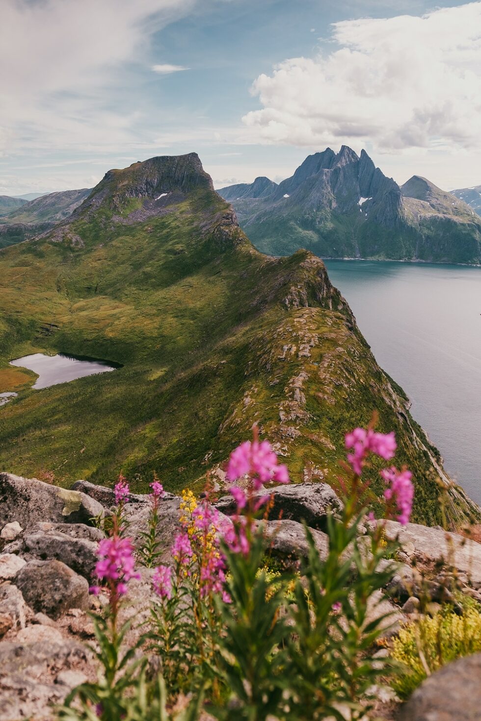 Ile de Senja en Norvège : Randonnées et road trip – Globefreelancers
