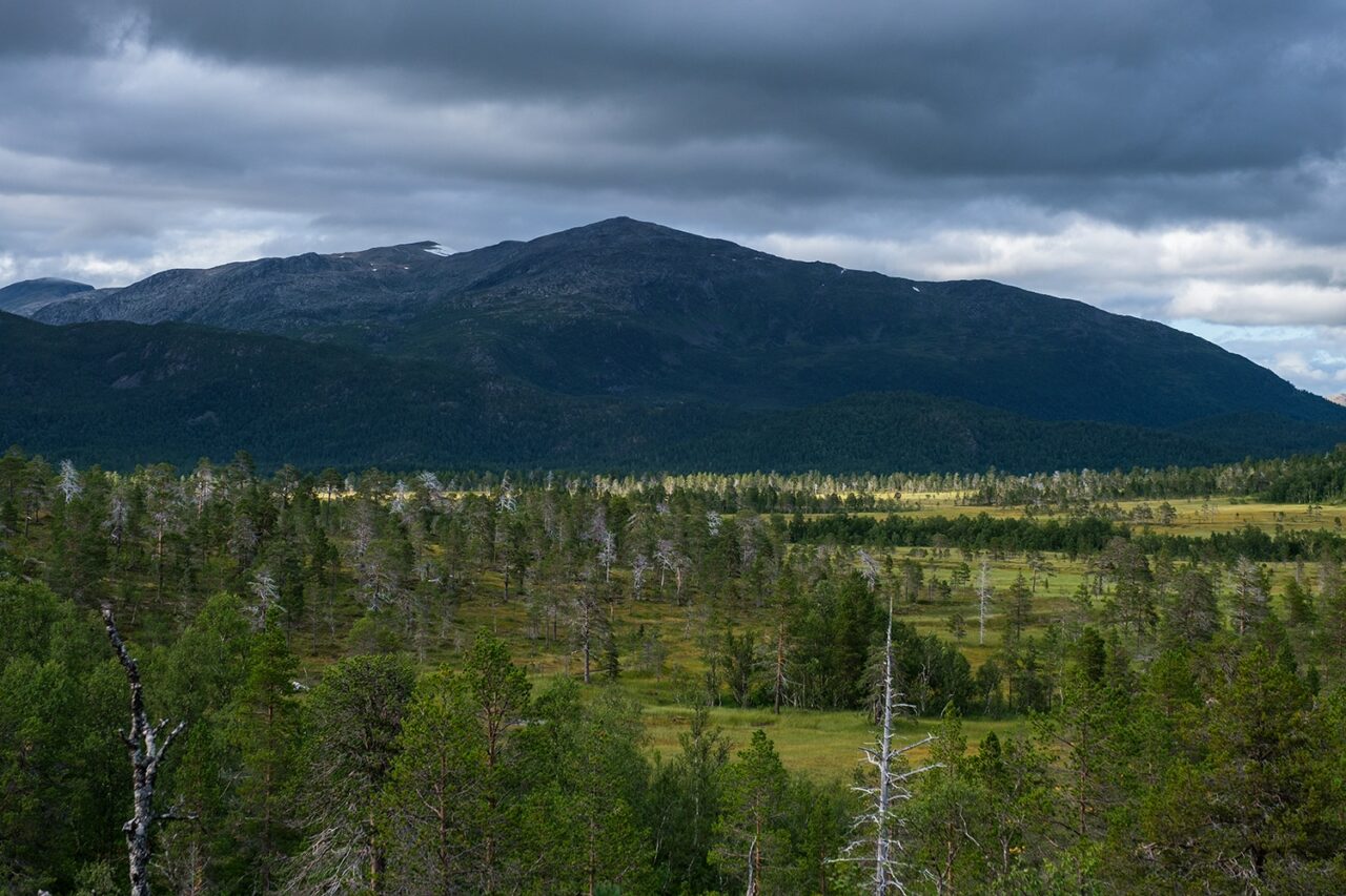 Ile de Senja en Norvège : Randonnées et road trip – Globefreelancers