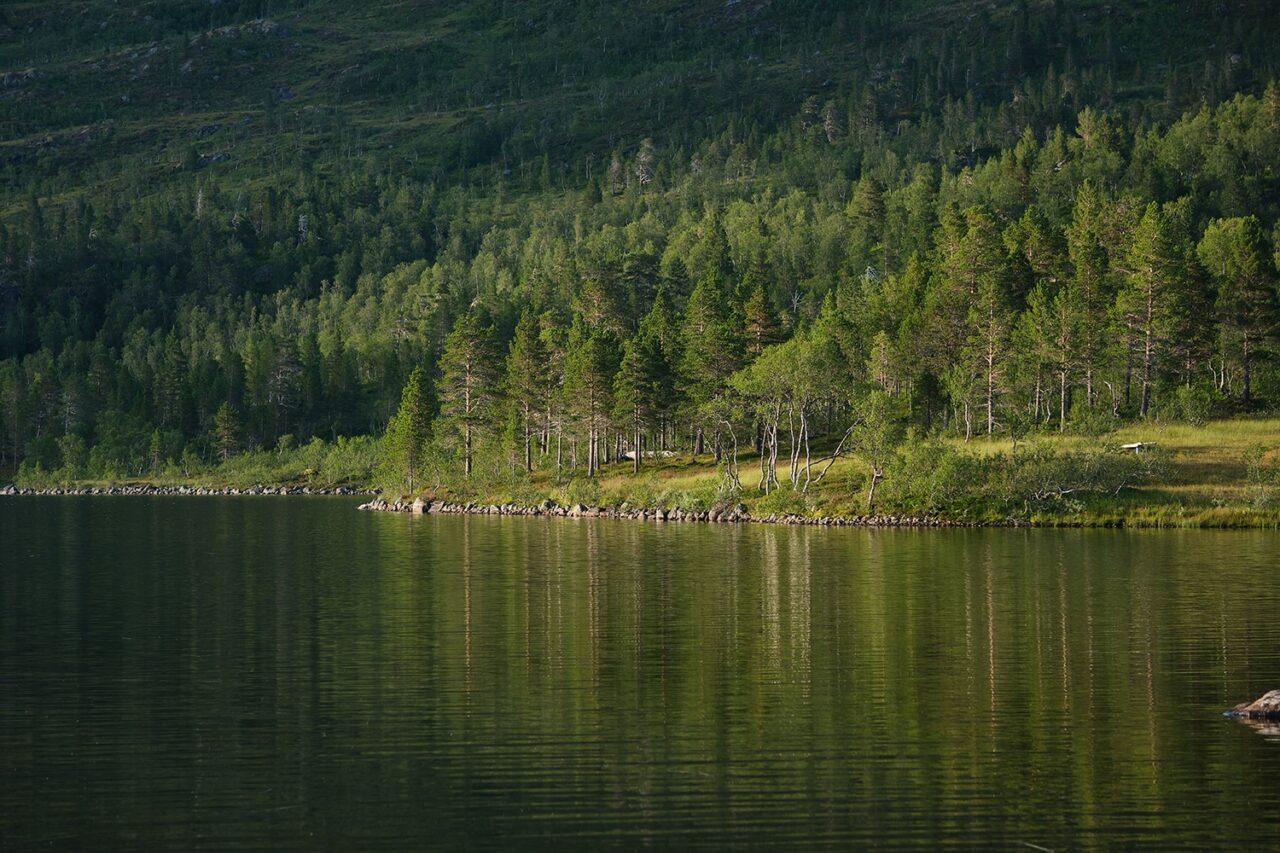 Ile de Senja en Norvège : Randonnées et road trip – Globefreelancers