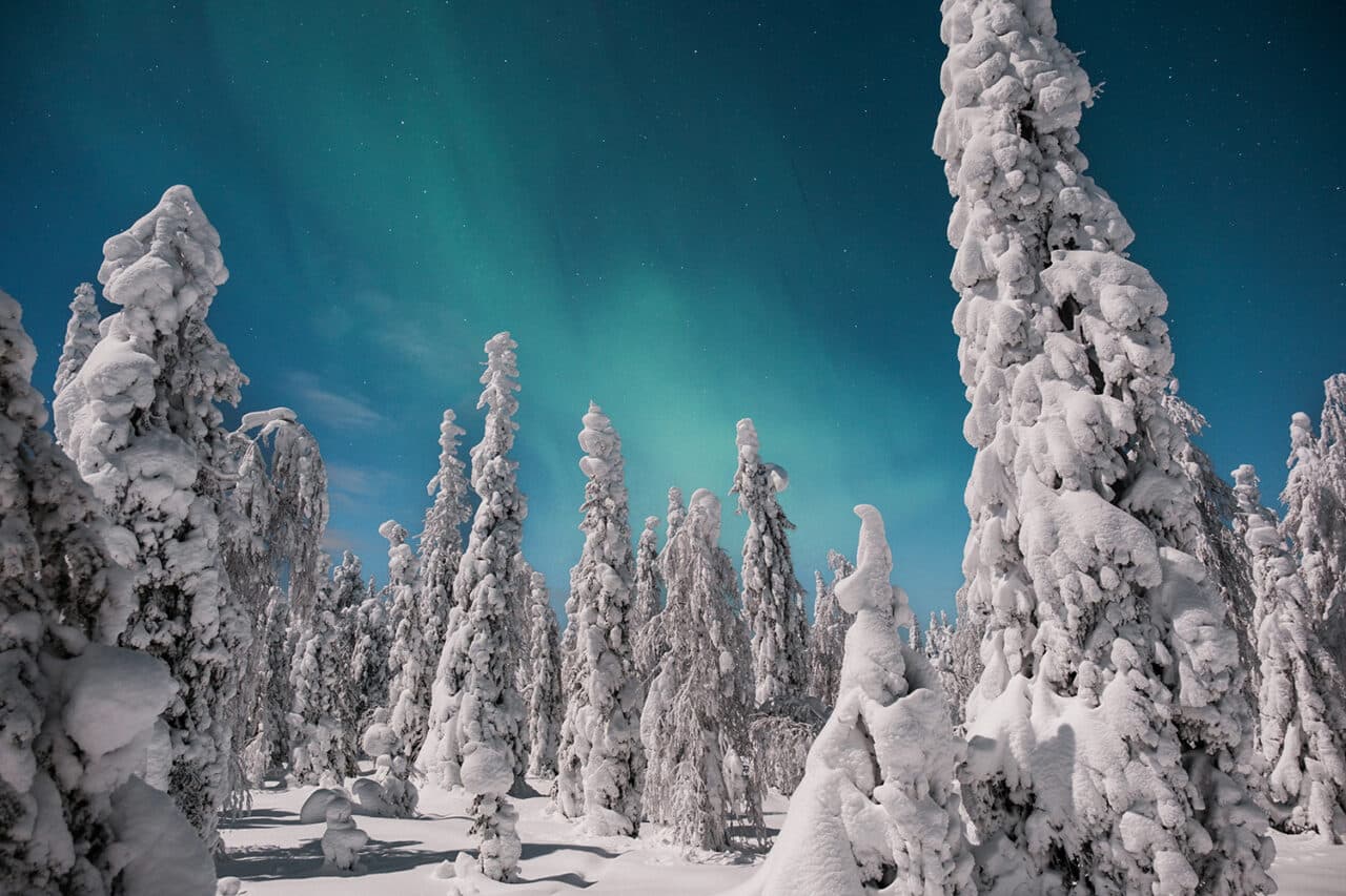 Voyage en Laponie Finlandaise : Guide complet – Globefreelancers