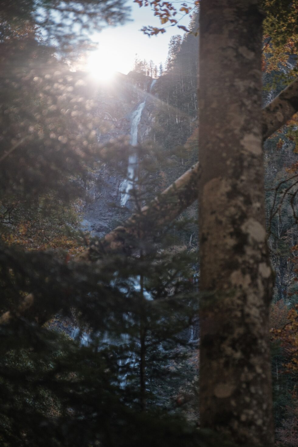 Cascade d'Ars : Randonnée en Boucle – Globefreelancers